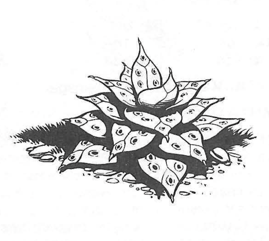 Land Crep «Crep, Red»